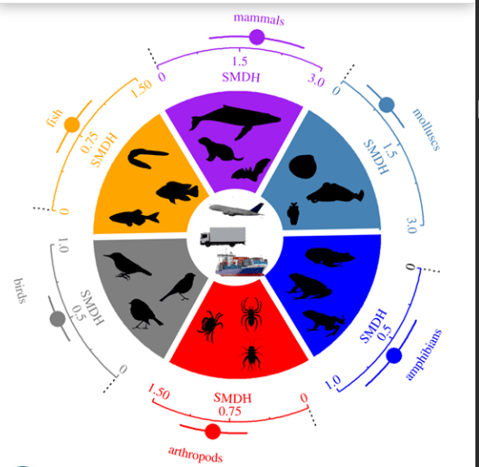 When Noise Becomes Habitat: How Human Sound Reshapes Wildlife Behavior ...